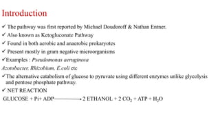EDP pathway and comparision with PP pathway, EMpathway, Glycolysis | PPT