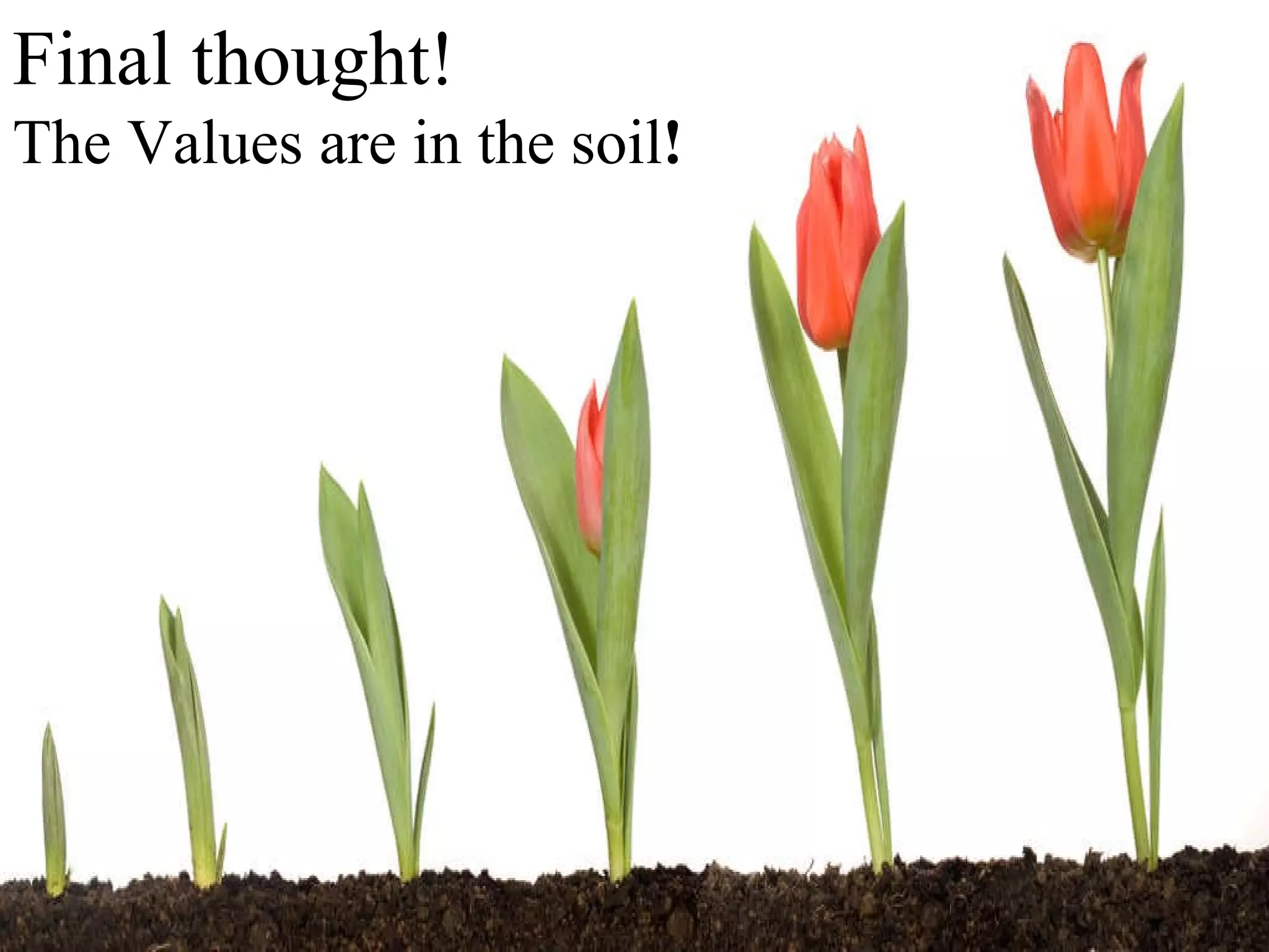 Edp health, safety & environment consultants ‘values, the key to ...