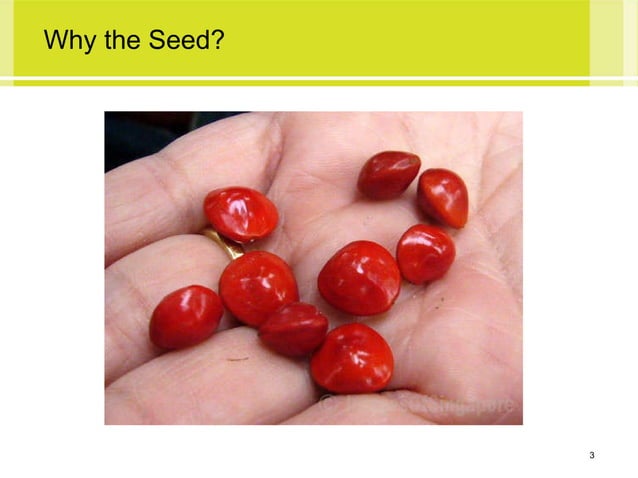 Edp health, safety & environment consultants ‘values, the key to ...