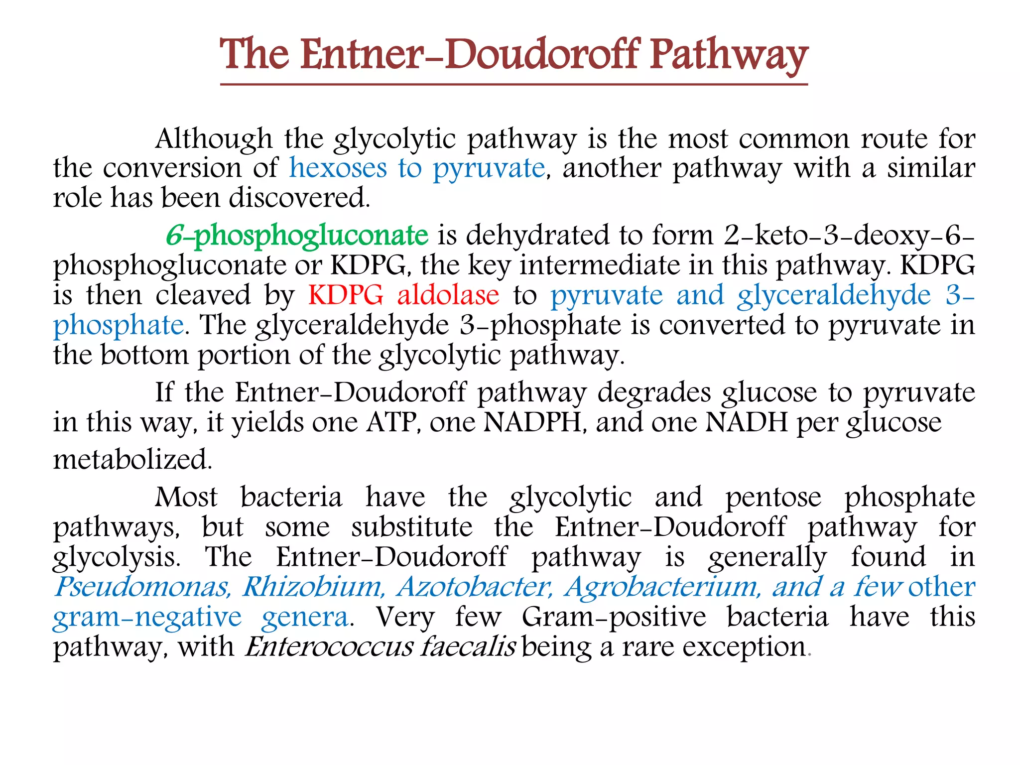 Edp pathway | PDF