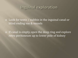 Undescended testis | PPTX