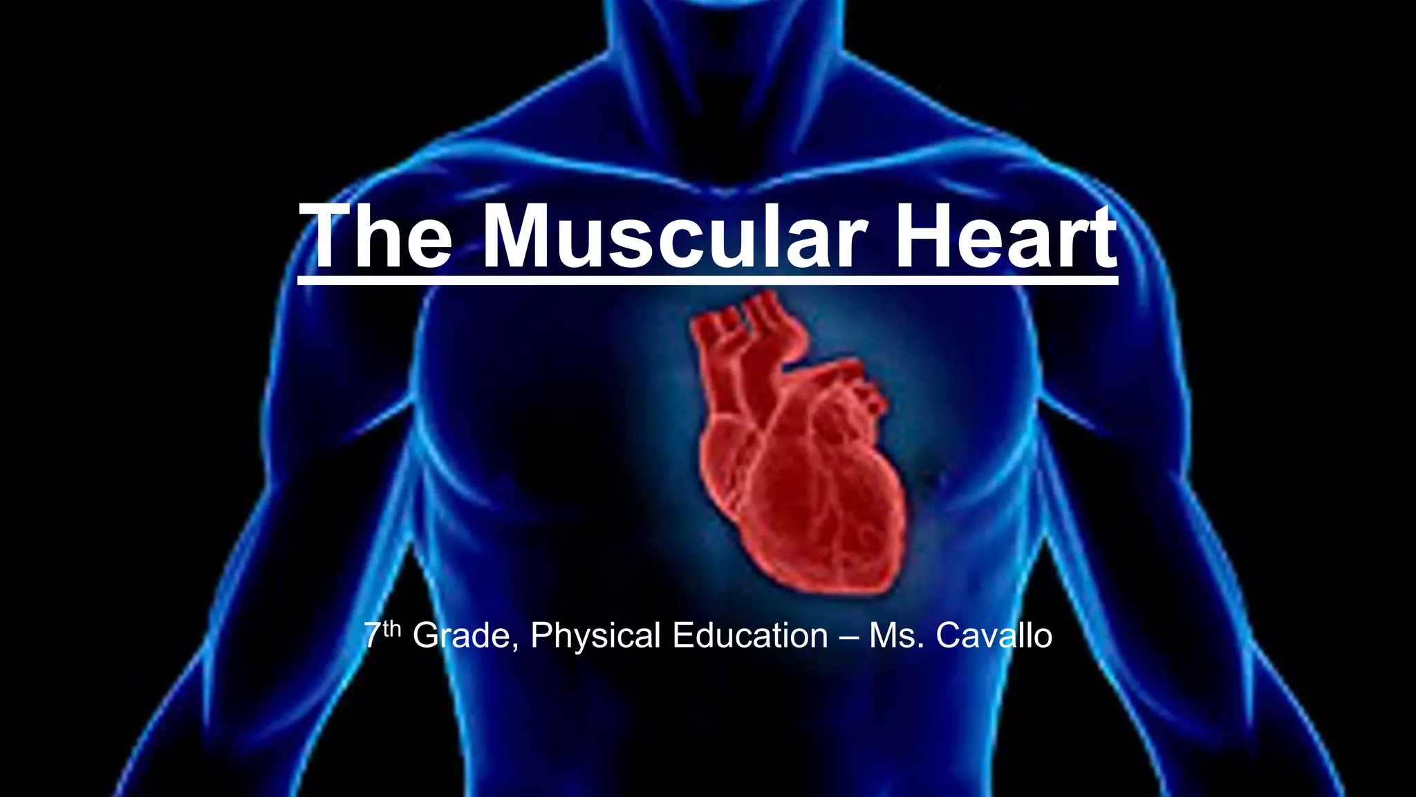 The Muscular Heart | PPTX