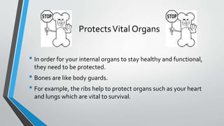 Edsc 304 skeletal system | PPT
