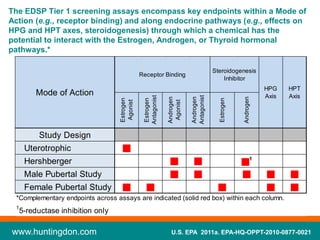 EDSP webinar 3: In vivo assays for the EDSP | PPT