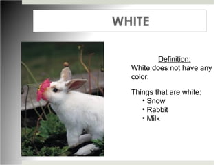 Edst6304 visualvocab | PPT