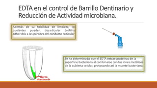 Edta conductos curvos y calcificados | PDF