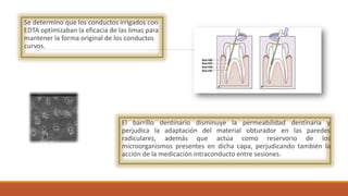 Edta conductos curvos y calcificados | PDF