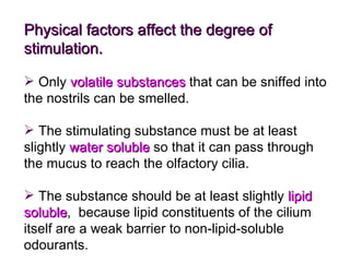 physiology of smell | PPT