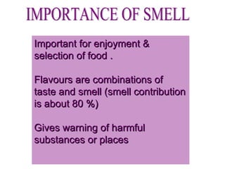 physiology of smell | PPT