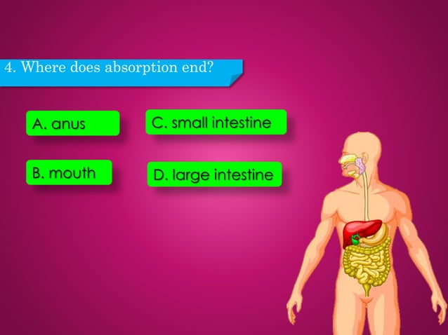 Digestive System interactive game | PPTX | Digestive Disorders ...