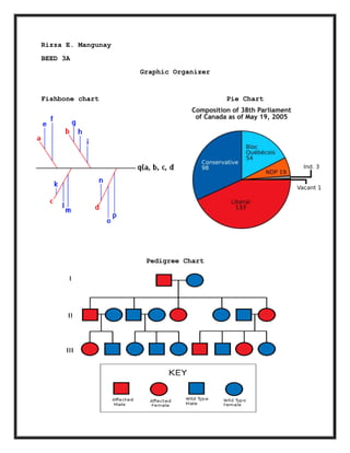 Edtech graphic organizer | PDF
