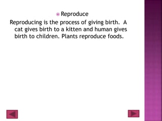 Power Point on Living and Non-Living Things in our environment | PPTX