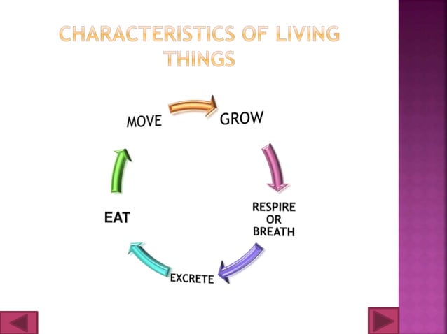 Power Point on Living and Non-Living Things in our environment | PPTX