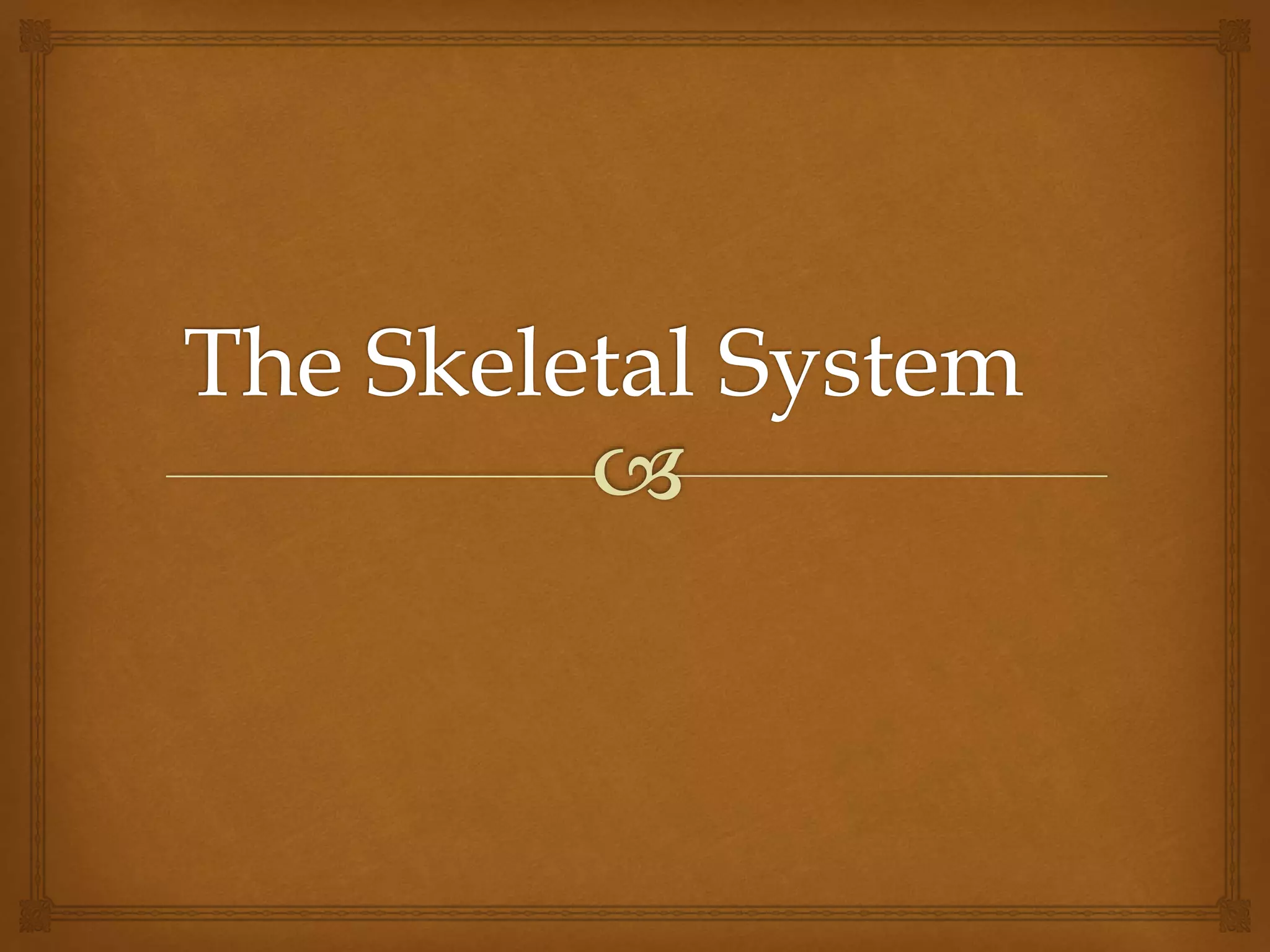 The Skeletal System (nellz10186) | PPTX