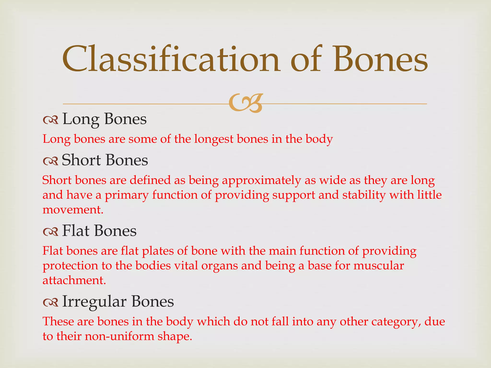 The Skeletal System (nellz10186) | PPTX