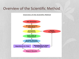 Scientific method ppt presentation | PPTX
