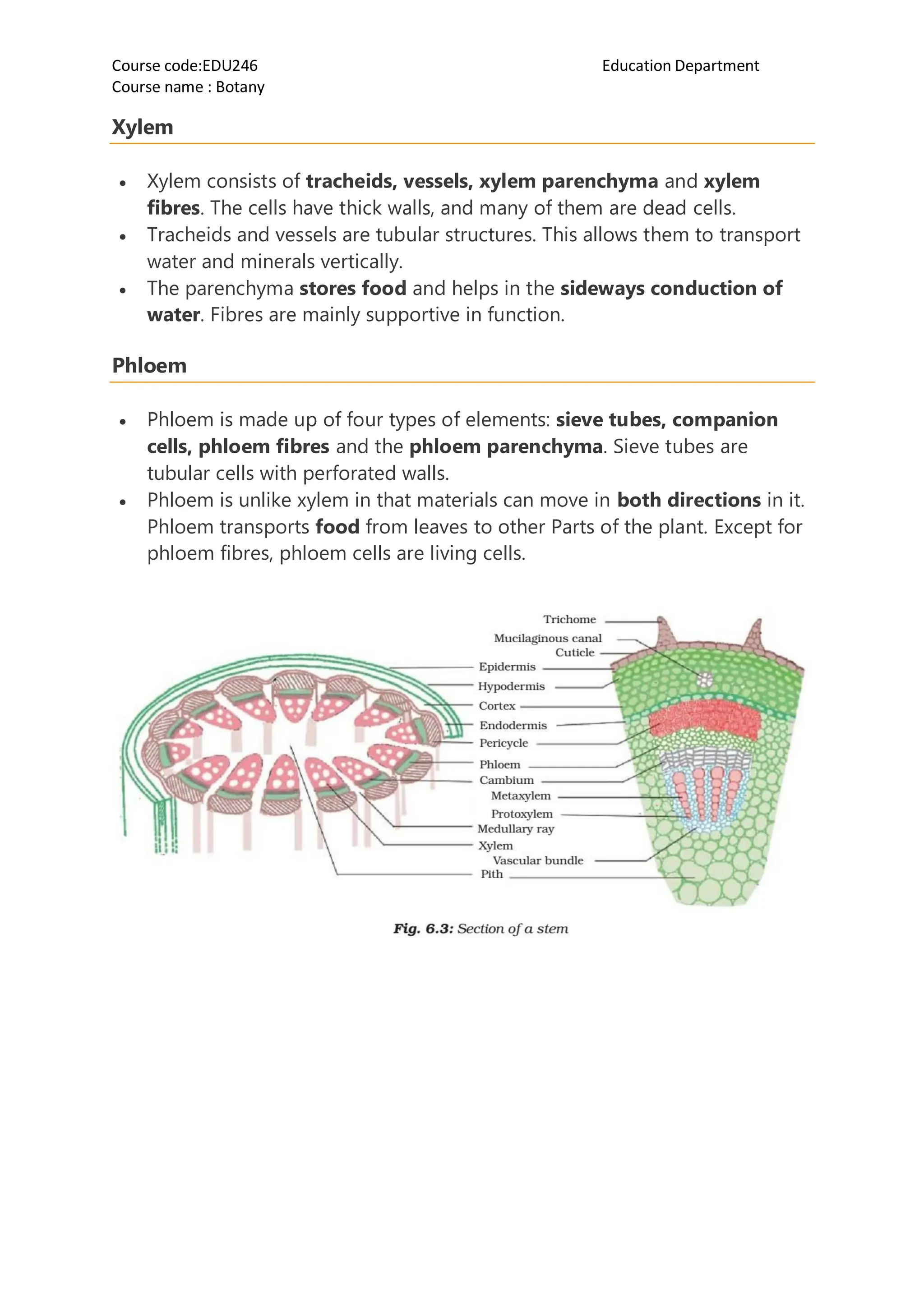EDU246 BOTANY 2.pdf