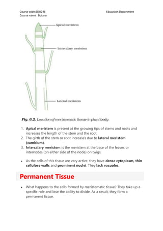 EDU246 BOTANY 2.pdf
