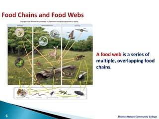 Learning Unit 1 presentation 7-7-14 | PPTX