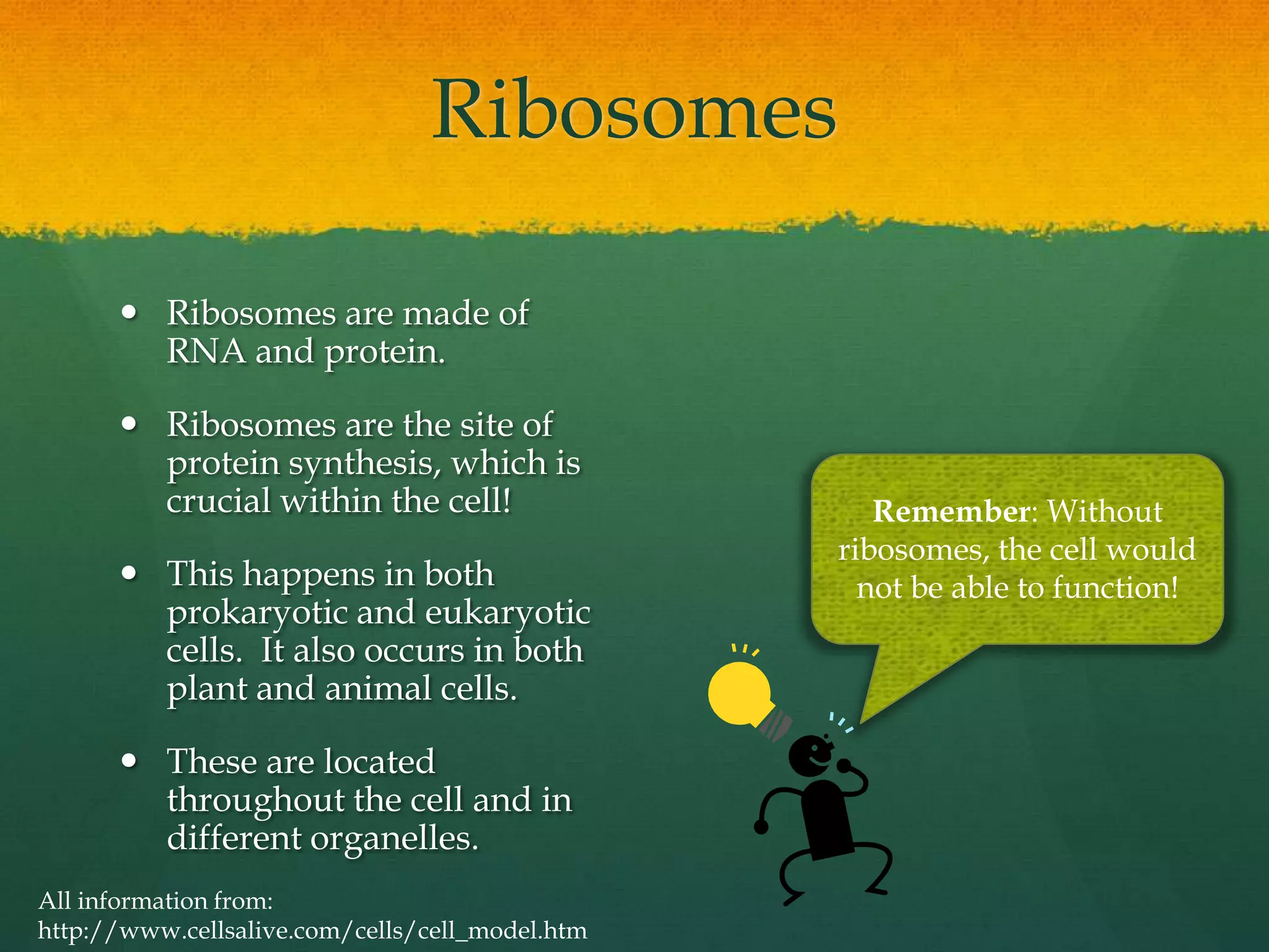 Edu 290: Biology of Cells | PPTX
