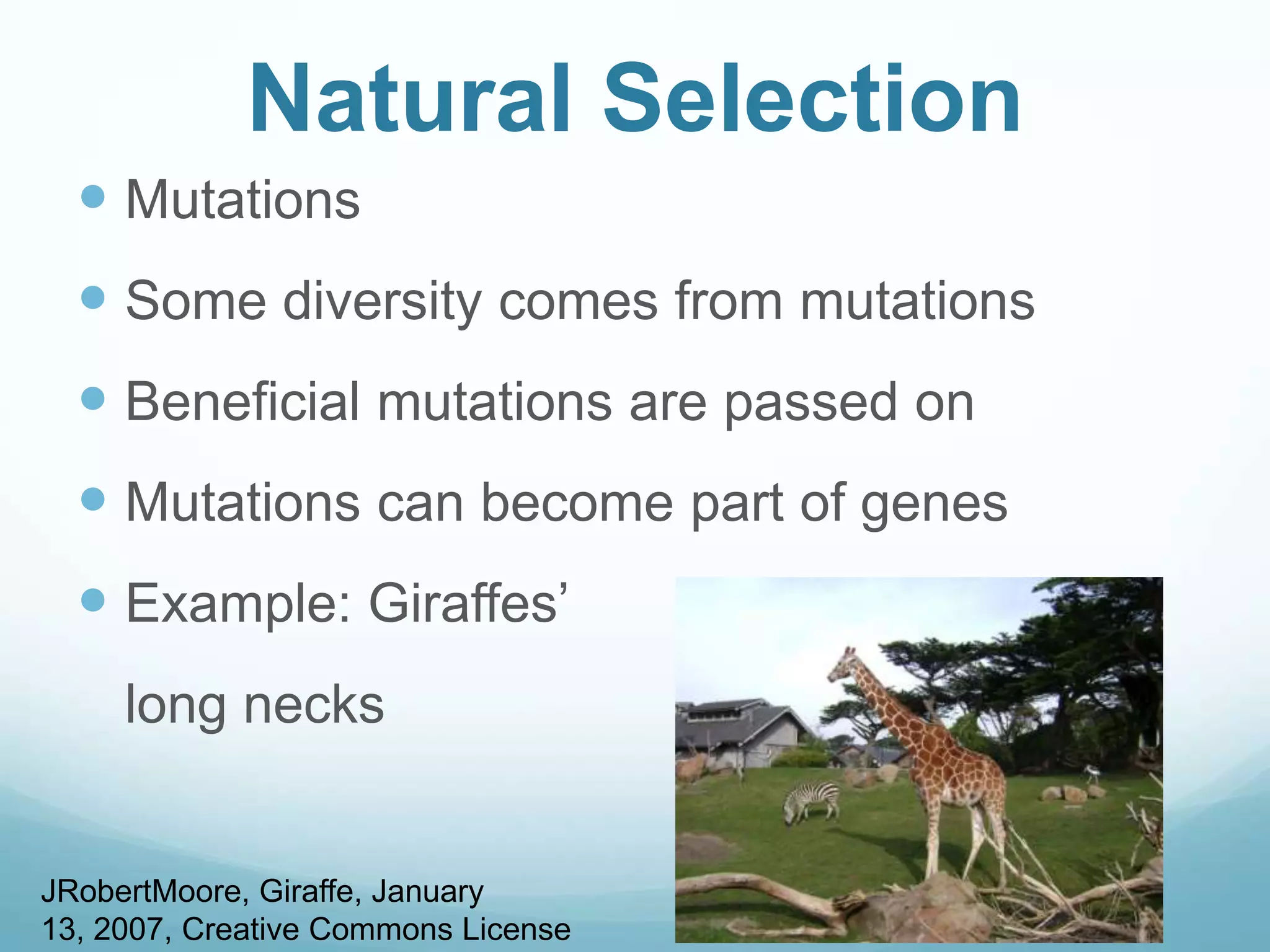 Edu290 part 1 evolution and biodiversity | PPTX | Biological Sciences ...