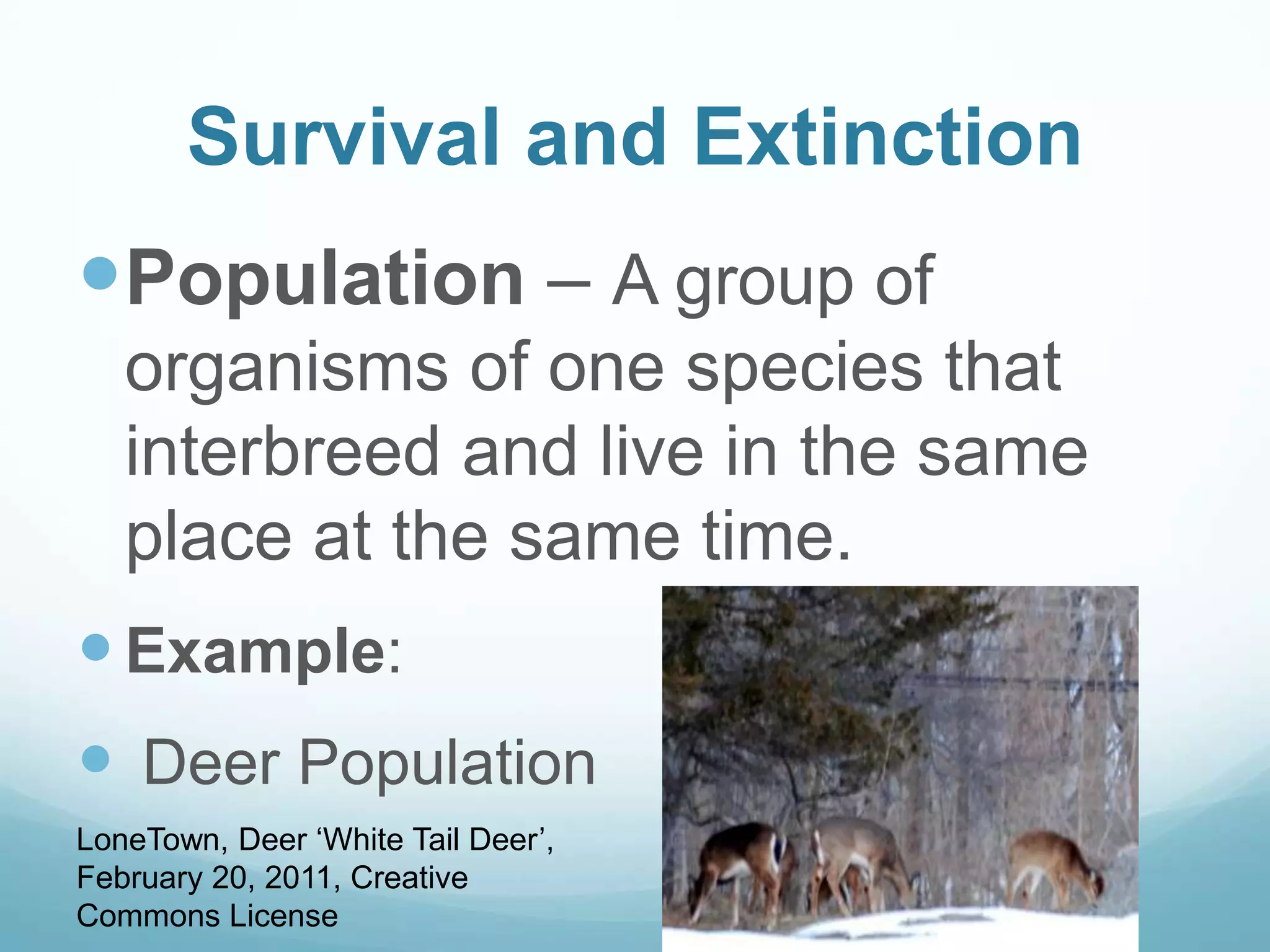 Edu290 part 1 evolution and biodiversity | PPTX | Biological Sciences ...
