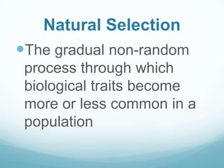 Edu290 part 1 evolution and biodiversity | PPTX | Biological Sciences ...