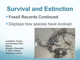Edu290 part 1 evolution and biodiversity | PPTX | Biological Sciences ...