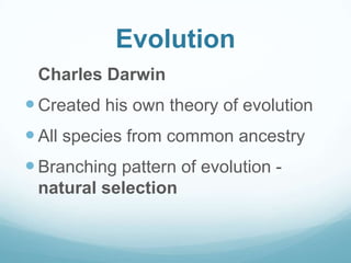 Edu290 part 1 evolution and biodiversity | PPTX | Biological Sciences ...