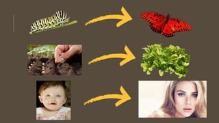 Human Development: Meaning, Concepts and Approaches | PPTX