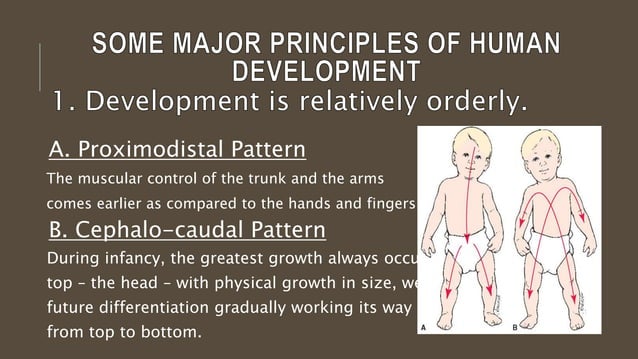 Human Development: Meaning, Concepts and Approaches | PPTX | Parenting ...