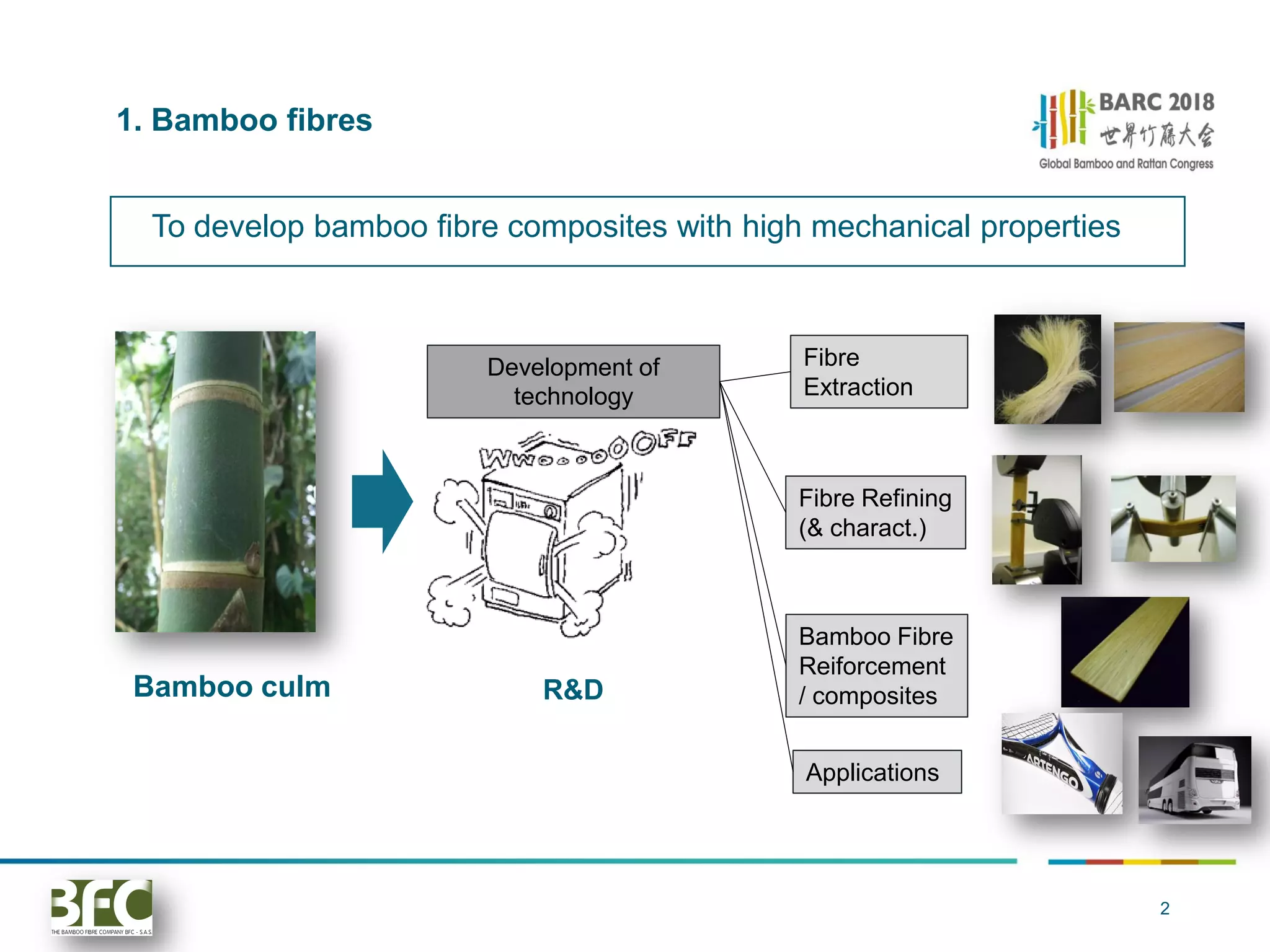 Eduardo Trujillo_Long bamboo fibres as reinforcement for high quality ...
