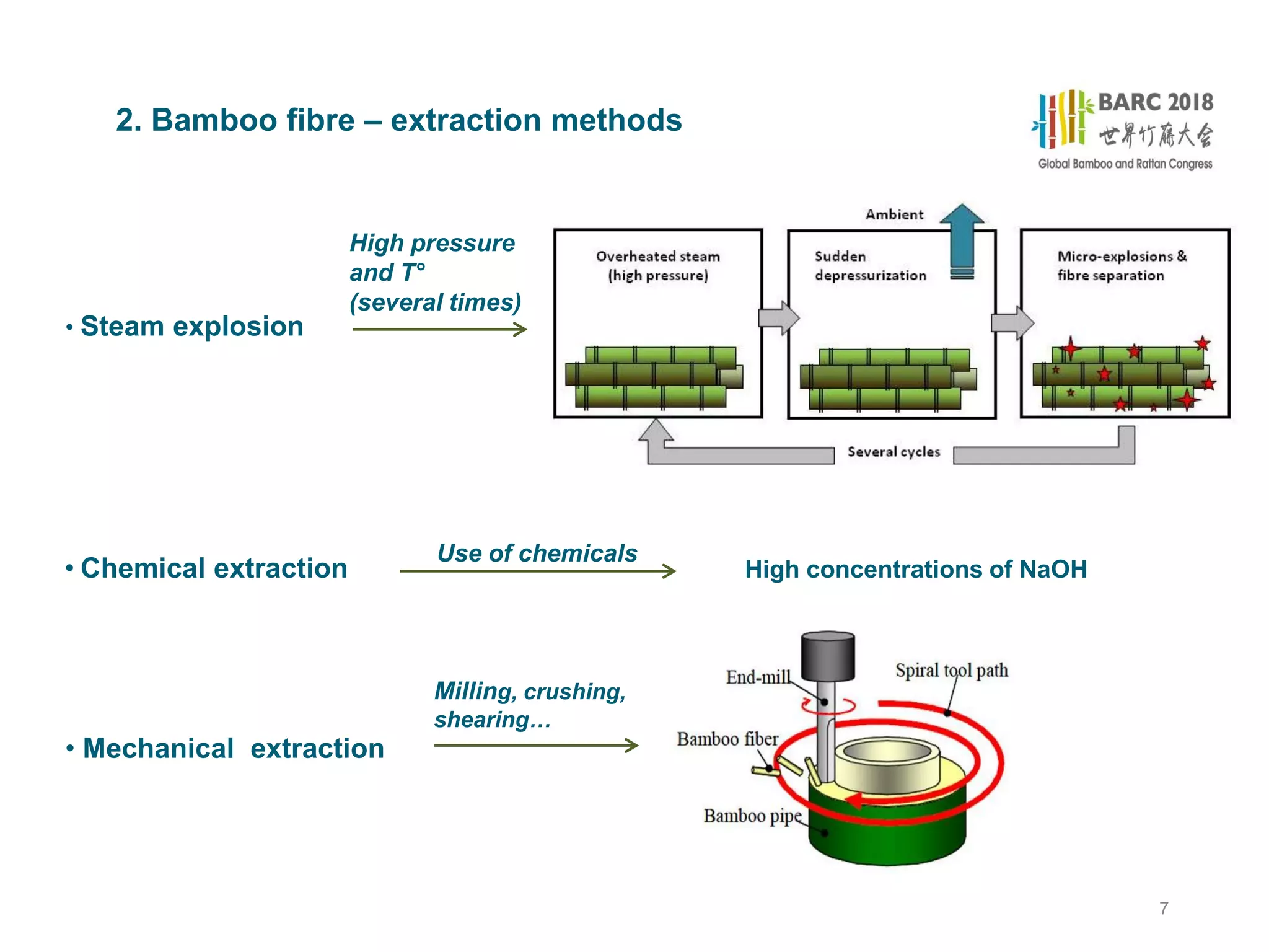 Eduardo Trujillo_Long bamboo fibres as reinforcement for high quality ...