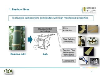 Eduardo Trujillo_Long bamboo fibres as reinforcement for high quality ...