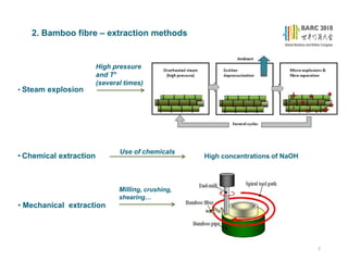 Eduardo Trujillo_Long bamboo fibres as reinforcement for high quality ...
