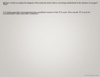 Biochemistry Homework Help | PPTX | Endocrine and Metabolic Diseases ...