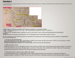Biochemistry Homework Help | PPTX | Endocrine and Metabolic Diseases ...
