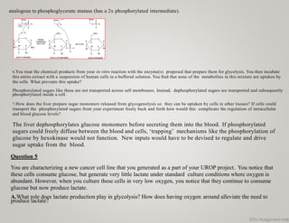 Biochemistry Homework Help | PPTX | Endocrine and Metabolic Diseases | Diseases and Conditions