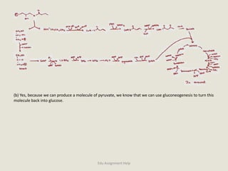 Biochemistry Homework Help | PPT