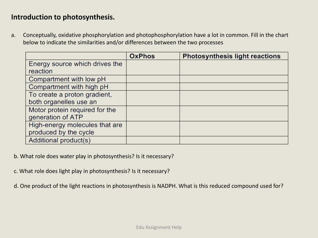 Biochemistry Homework Help | PPT