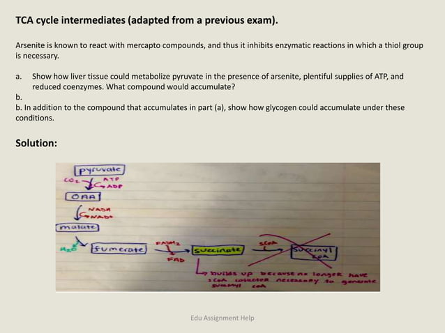 Biochemistry Homework Help | PPT