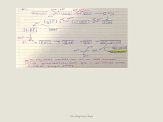 Biochemistry Homework Help | PPT