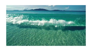 EDUC-10-REPORT-FINAL.IntegratingnewLiteraciesiintheCurriculum_pptx | PPT