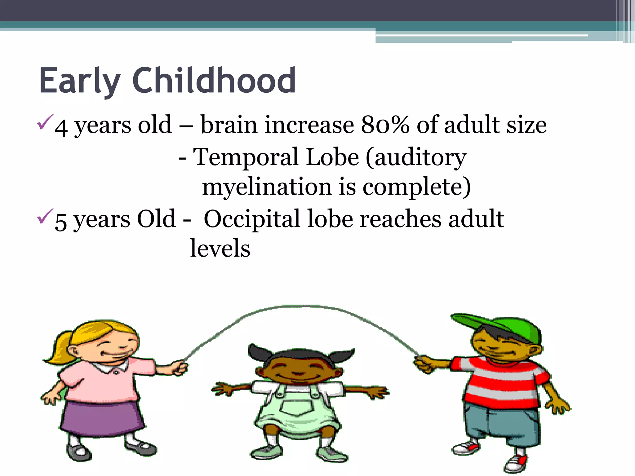 Education 1 : Brain development | PPTX
