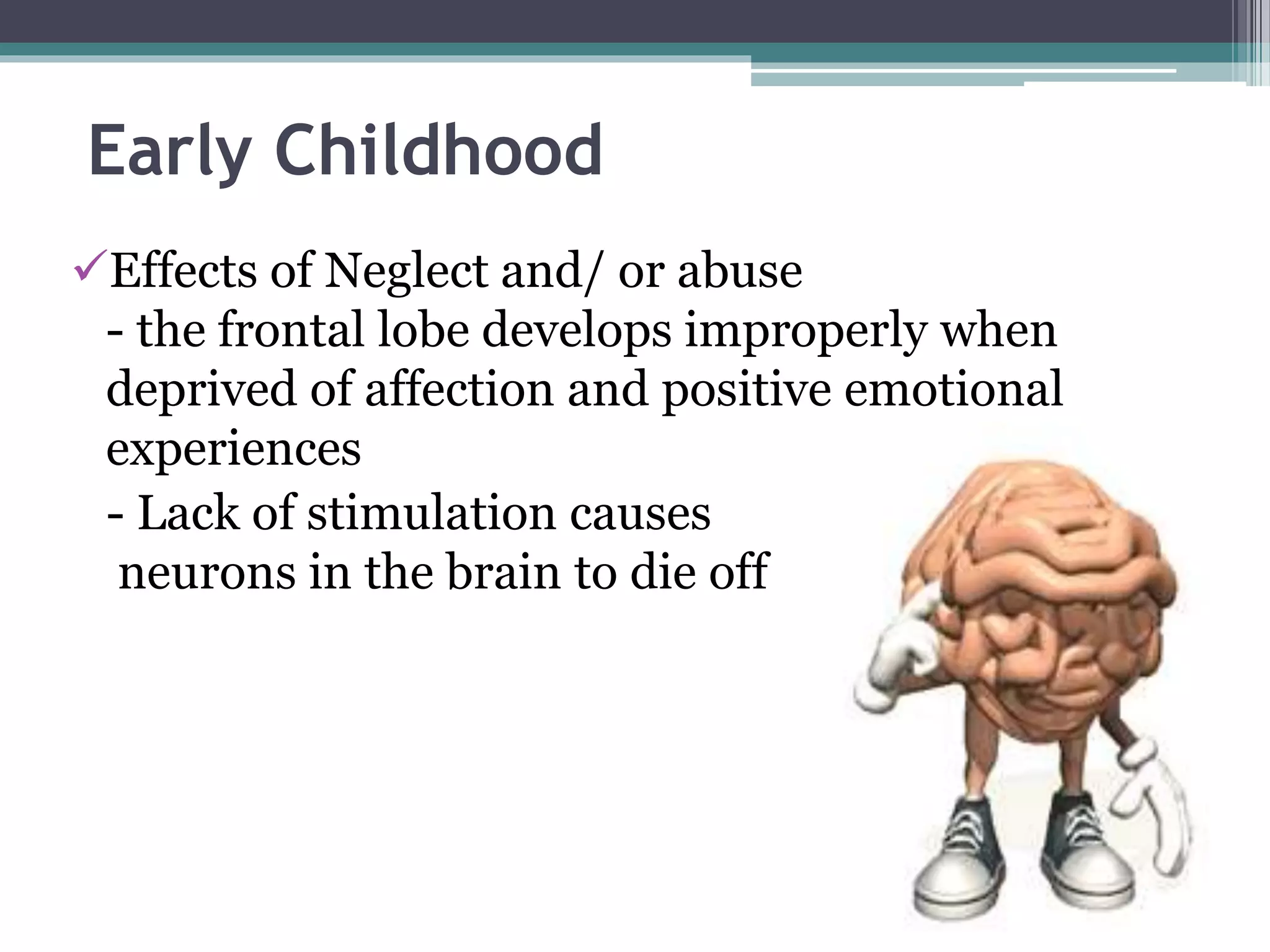Education 1 : Brain development | PPTX