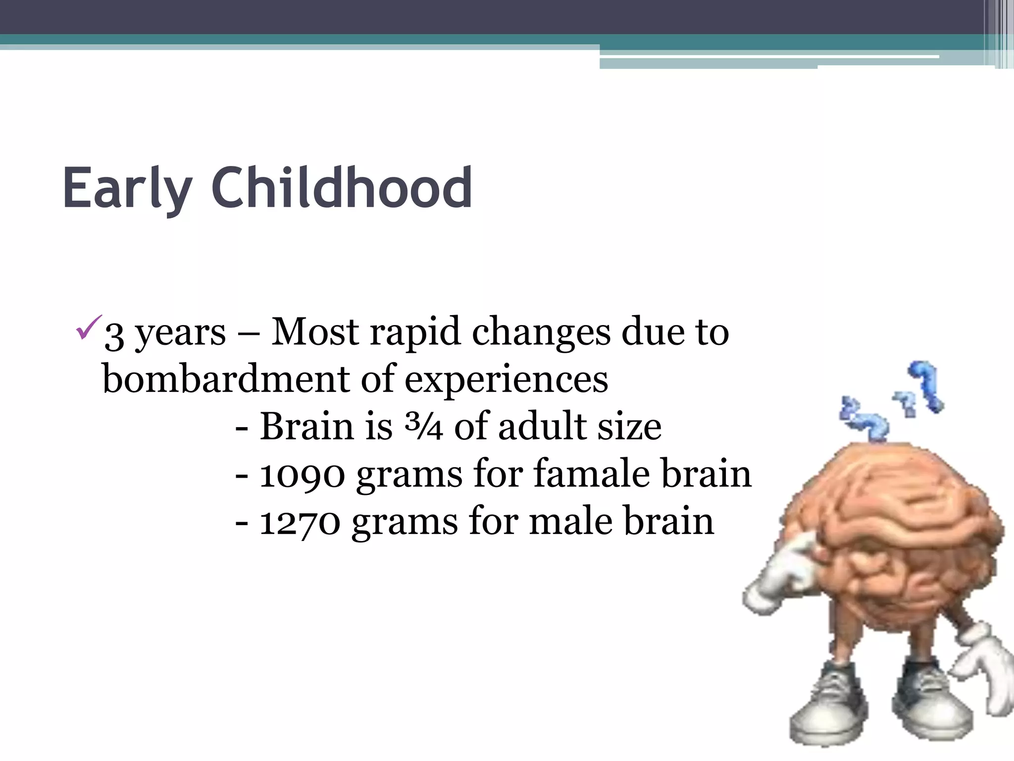 Education 1 : Brain development | PPTX