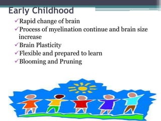 Education 1 : Brain development | PPTX
