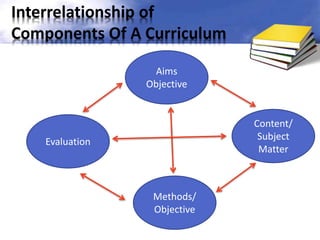 CUrriculum Experiences | PPTX