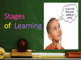 Developmental Dimensions of Learning 2014 | PPTX