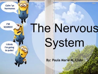 The Nervous System | PPTX